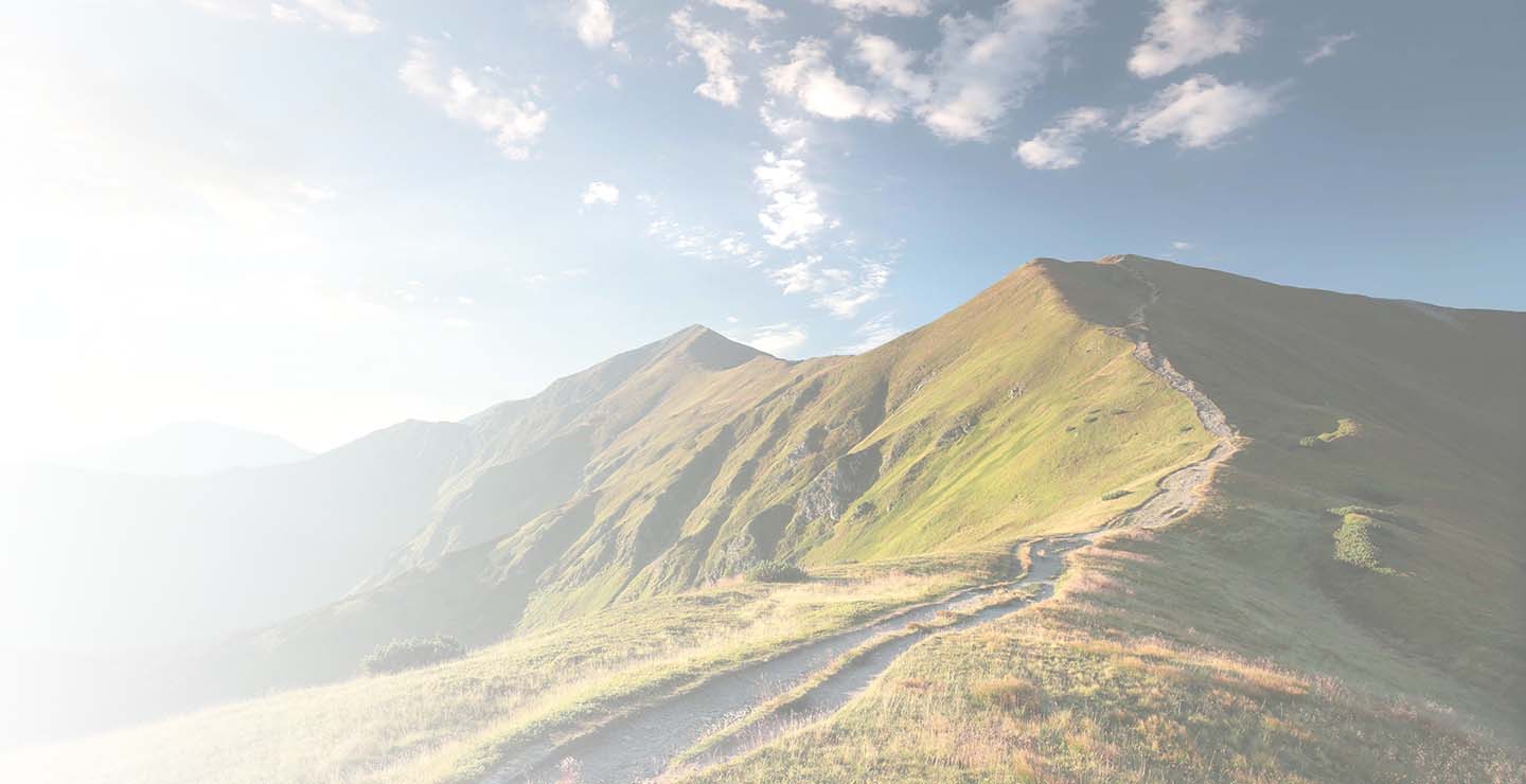 RBC BlueBay Asset Management | Investment Manager