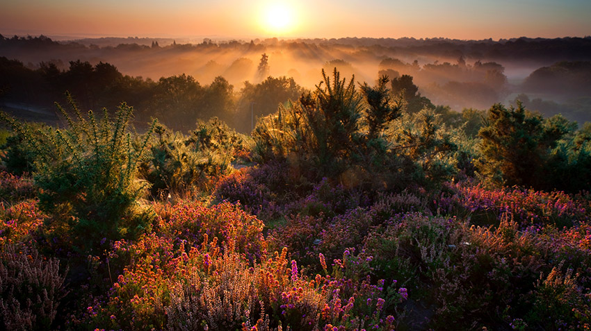 2025 Market View: Securitized Credit