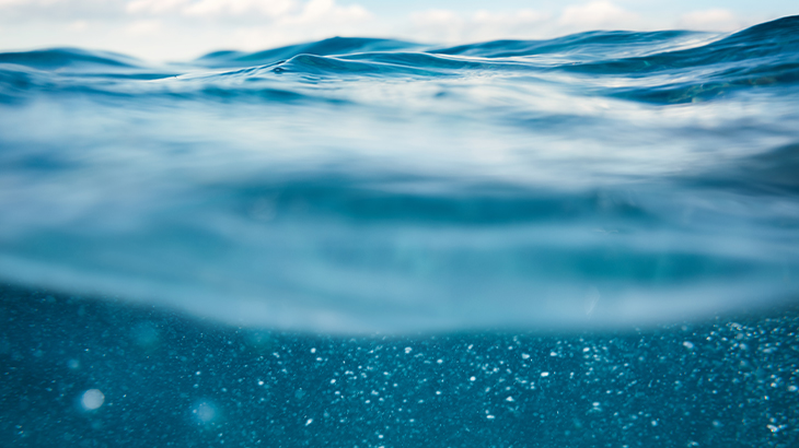 Water, water everywhere